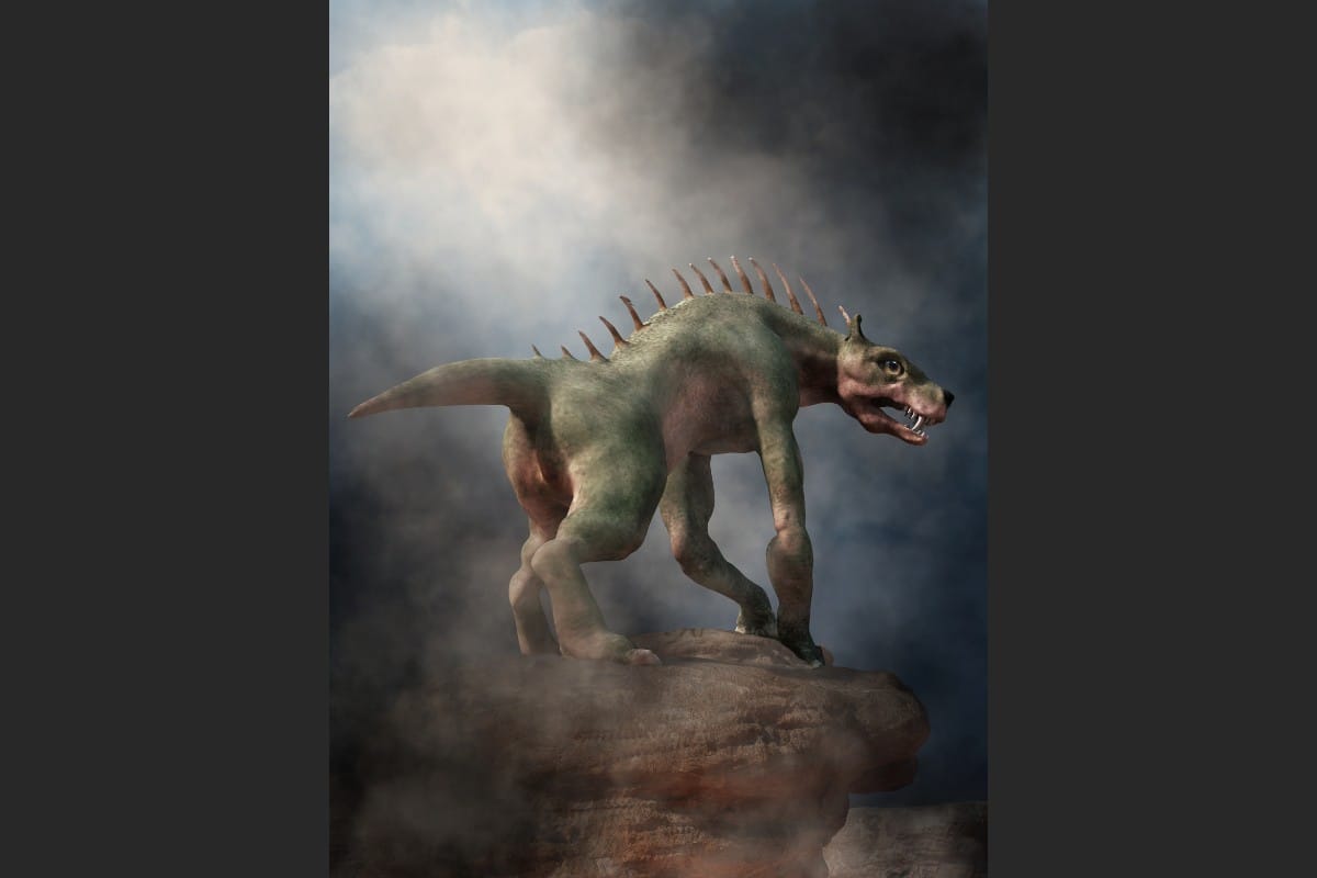 La leggenda del Chupacabra: realtà o finzione? - Mystery Key